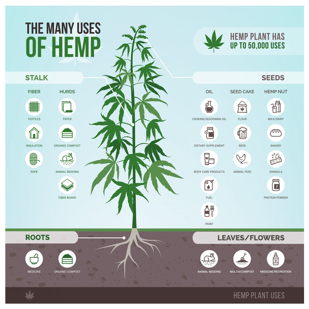 10 facts you may not know about hemp | The Canni Family